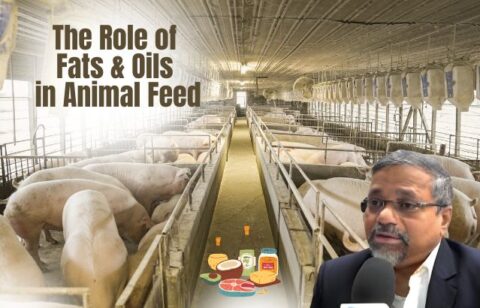The Role of Fats and Oils in Animal Feed | Jaiguru Kadam