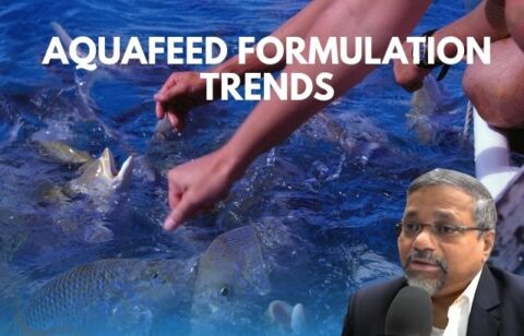 Aquafeed Formulation Trends: Sustainable & Nutritious Solutions