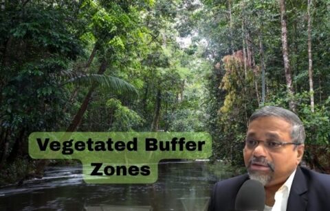 Creating Vegetated Buffer Zones: A Key to Protecting Water Quality and ...