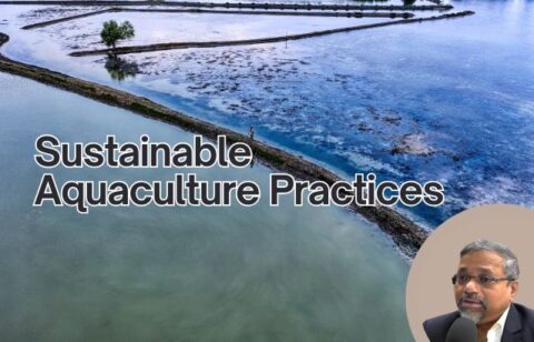 Nutrient Levels and Eutrophication in Aquaculture